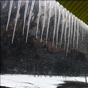 Cold Burn : Frostbite